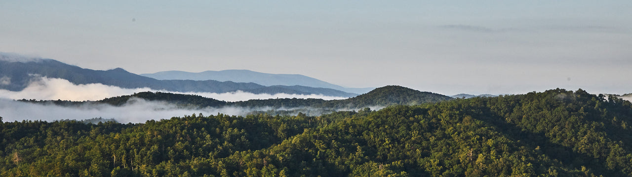 Blackberry Mountain - Blackberry Farm Shop